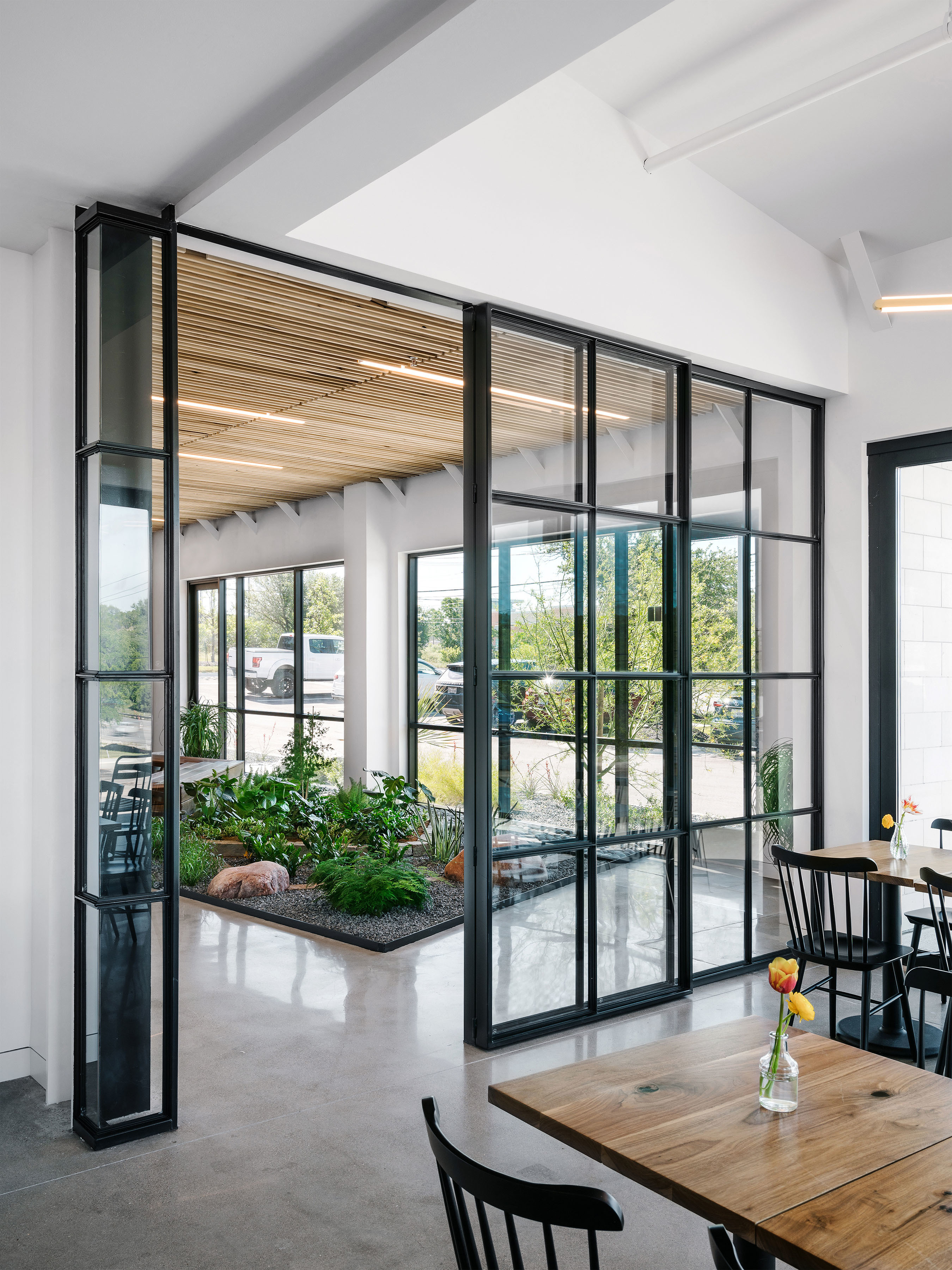 Alive + Well Austin | Matt Fajkus Architecture