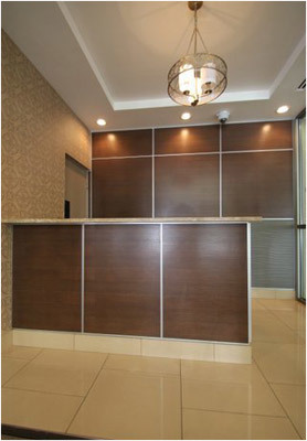 1150 North Lake Shore Drive – Chicago, IL | Keevan Sadock Design