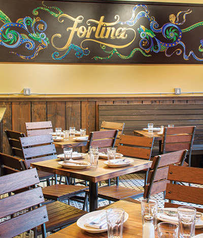 Fortina | AA Jedson Company, LLC