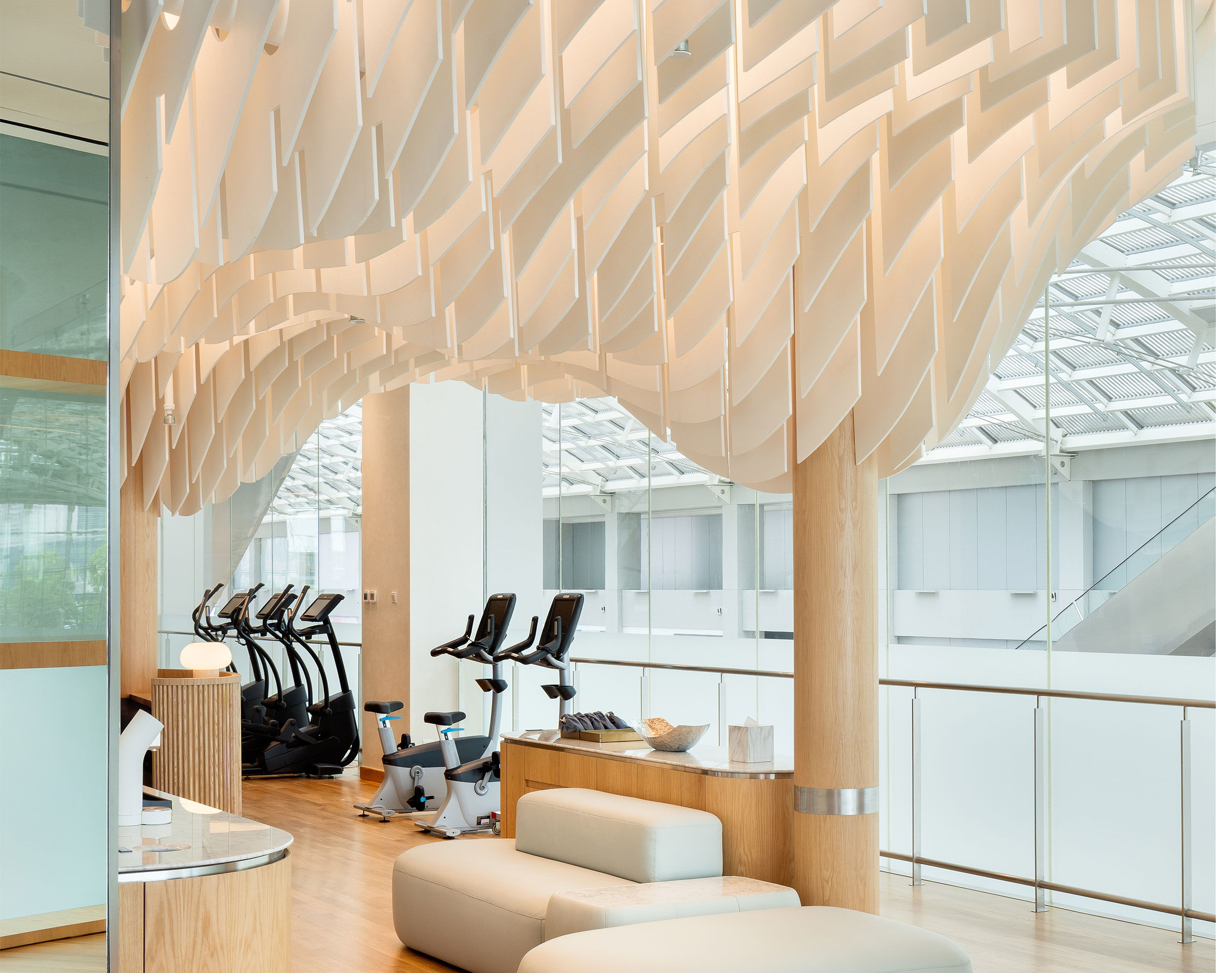 Acoufelt | Singapore Fitness Center | Custom Acoustic Baffle System ...