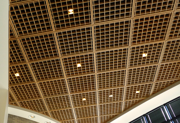 Acoustical Surfaces, Inc. - Project Photos + Products - Chaska, MN ...