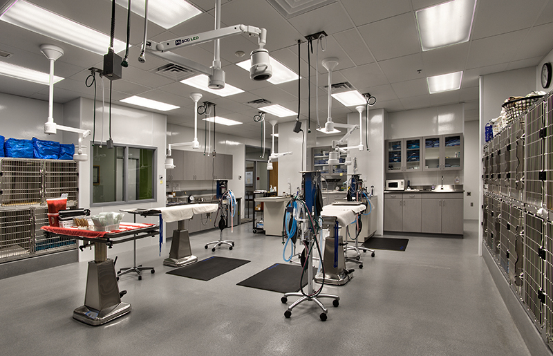 Anderson companies mn snap exam room | Anderson Companies