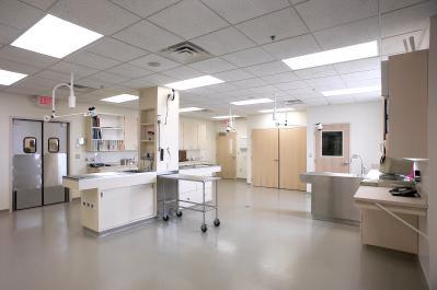 Animal Hospital Surgical Suite | Scott Build