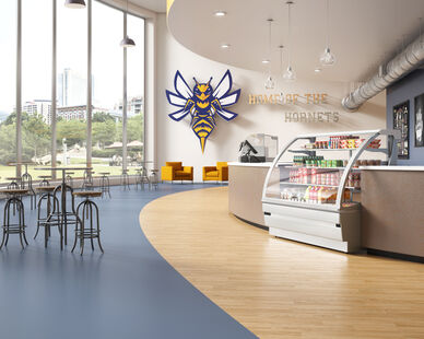 AVA in Education Spaces | AVA