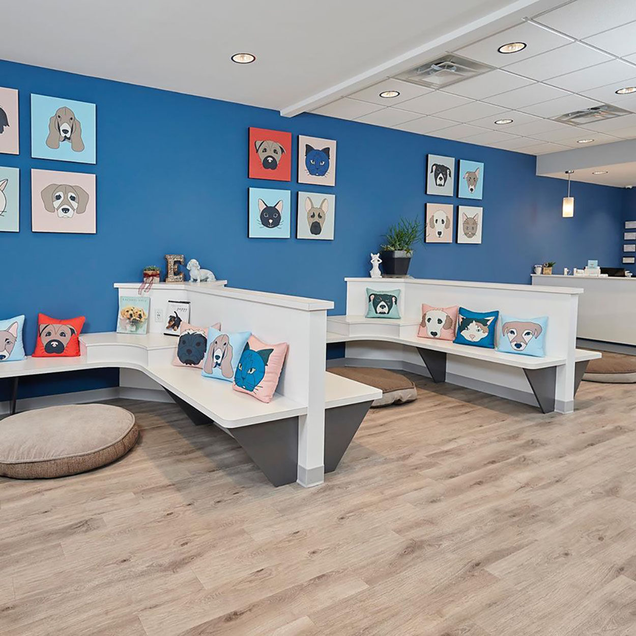 AVA Emmavet Veterinary Urgent Care 2DSGN flooring | AVA