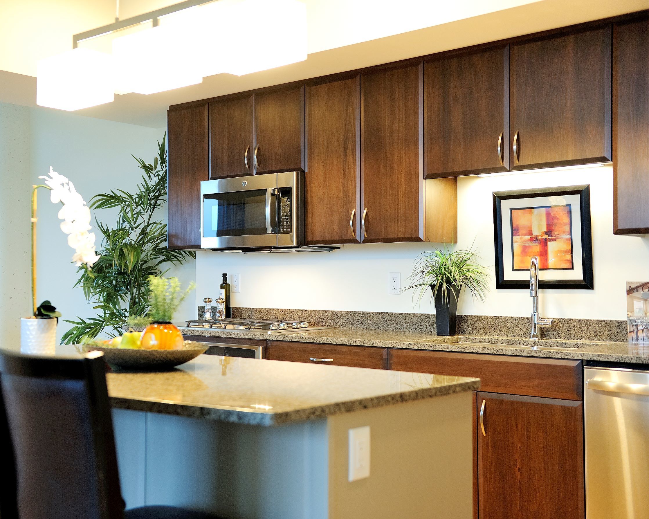 bayer interior woods modern frameless multi-unit kitchen cabinets ...