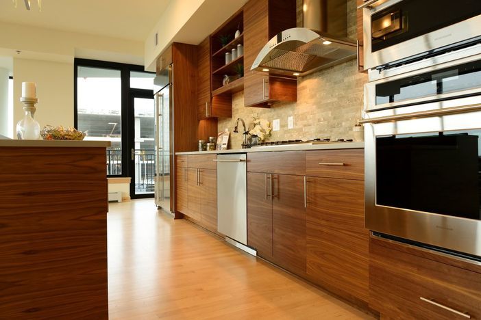 Modern Frameless Kitchen Cabinets | Bayer Interior Woods