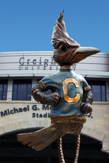 Billy Bluejay | Placzek Studios