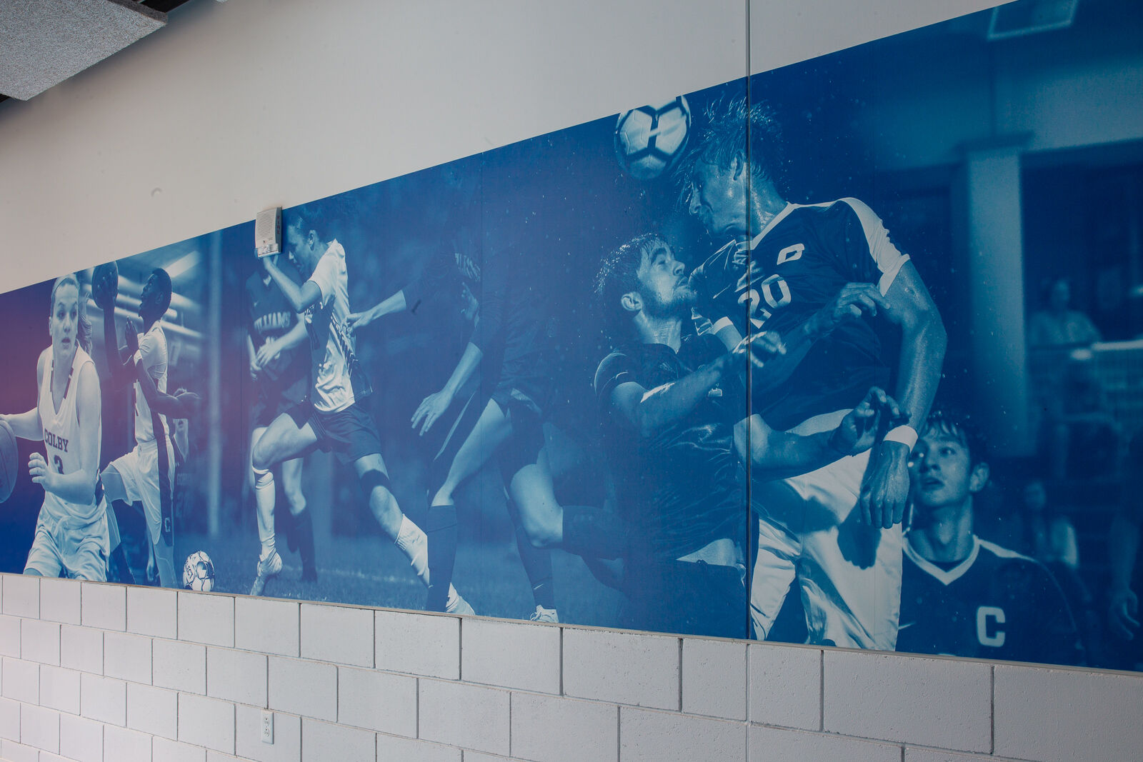 CC WallGraphics r-6 | Welch Sign