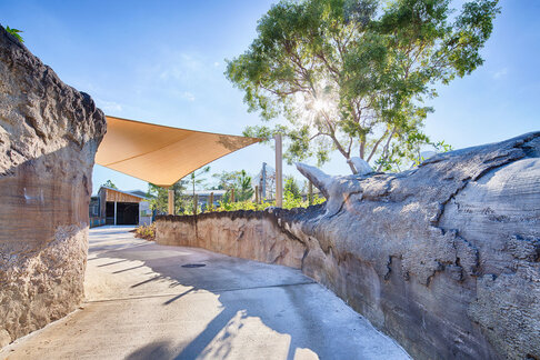 Zoo Miami | Chad Baumer Photography