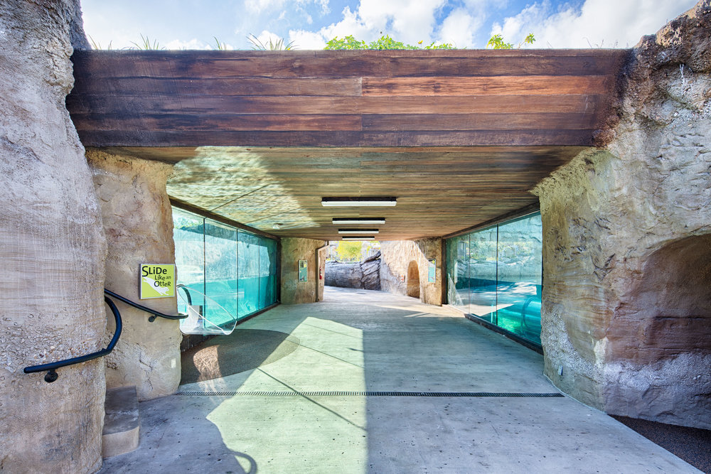 chad baumer photography zoo miami underwater animal exhibit | Chad ...