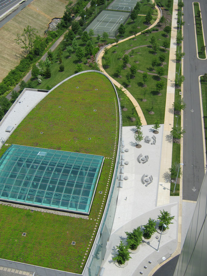 Mixed-use Buildings | Chatfield Green Roofing