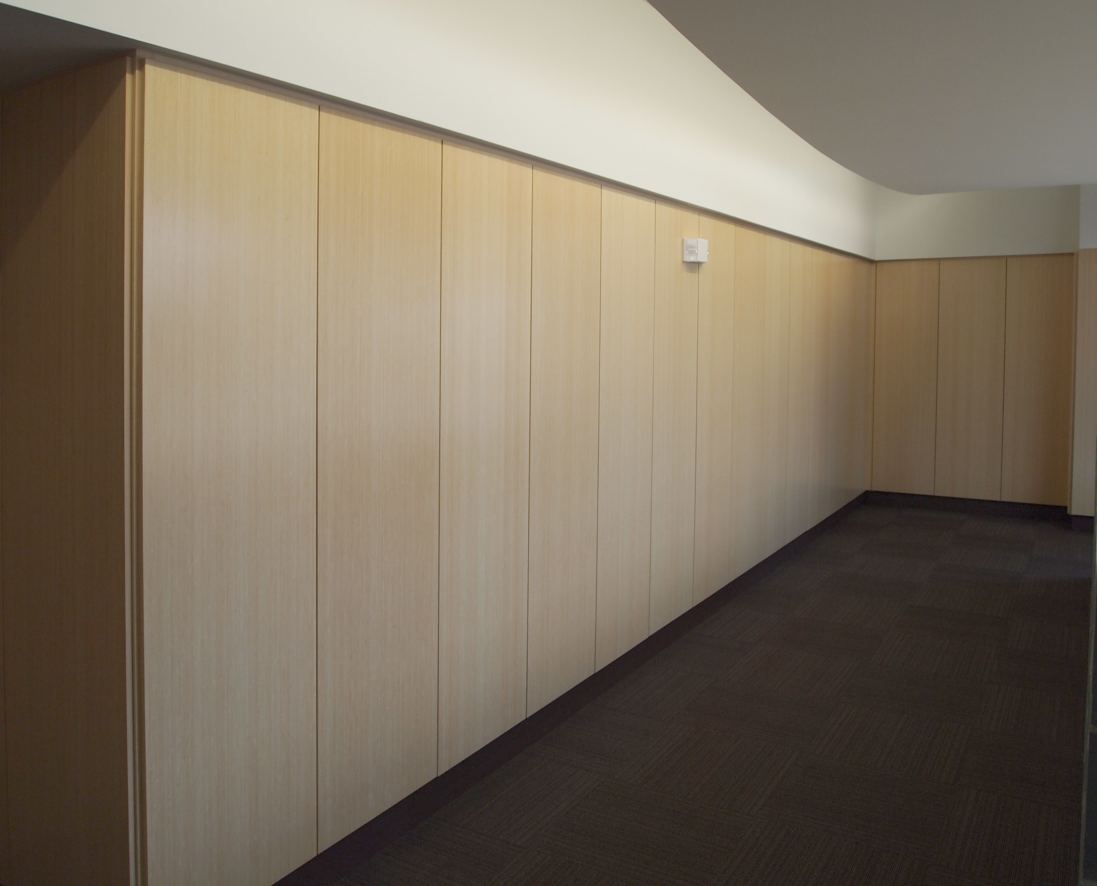 corridor wall treatment | Newick Architects