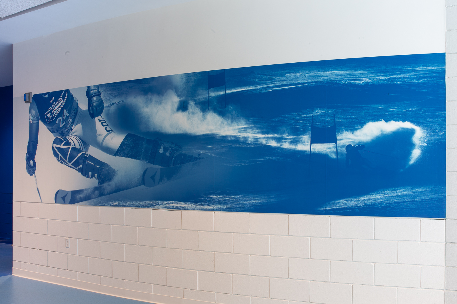 Custom Wallpaper | Custom Wall Graphic | Welch Sign | Welch Sign