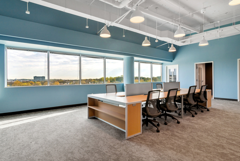 E Spaces Inc // Deep Bowl Reflector | Bock Lighting