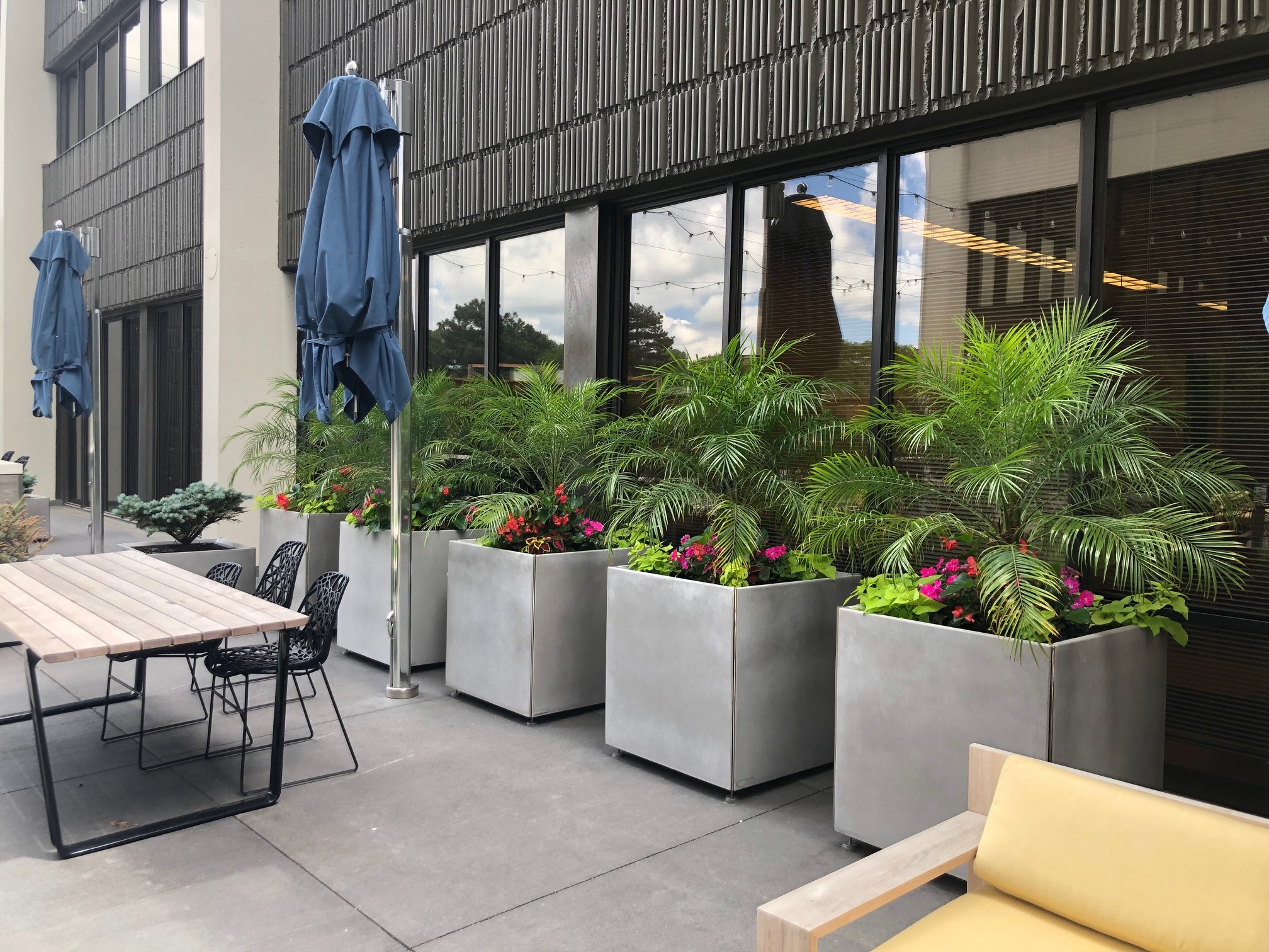 Exterior Summer with Palm | McCaren Designs