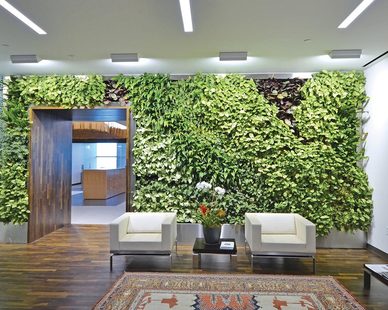 First Virtual Group | GSky