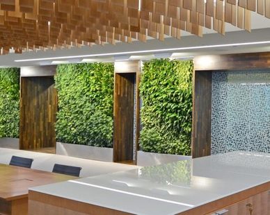 First Virtual Group | GSky