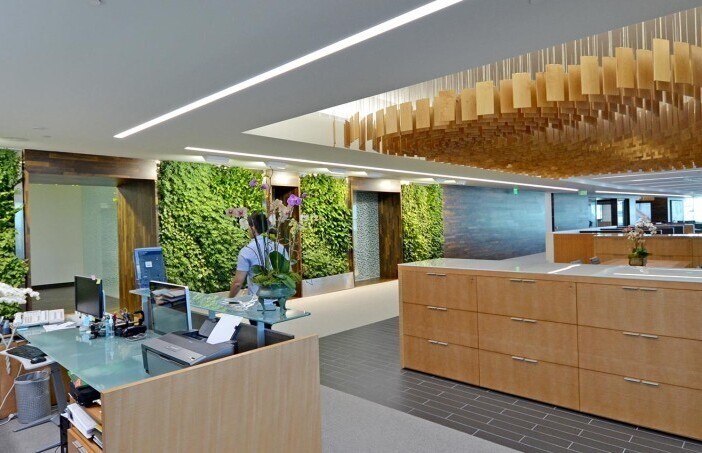 First Virtual Group | GSky