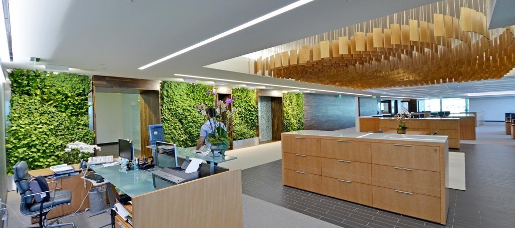 First Virtual Group | GSky