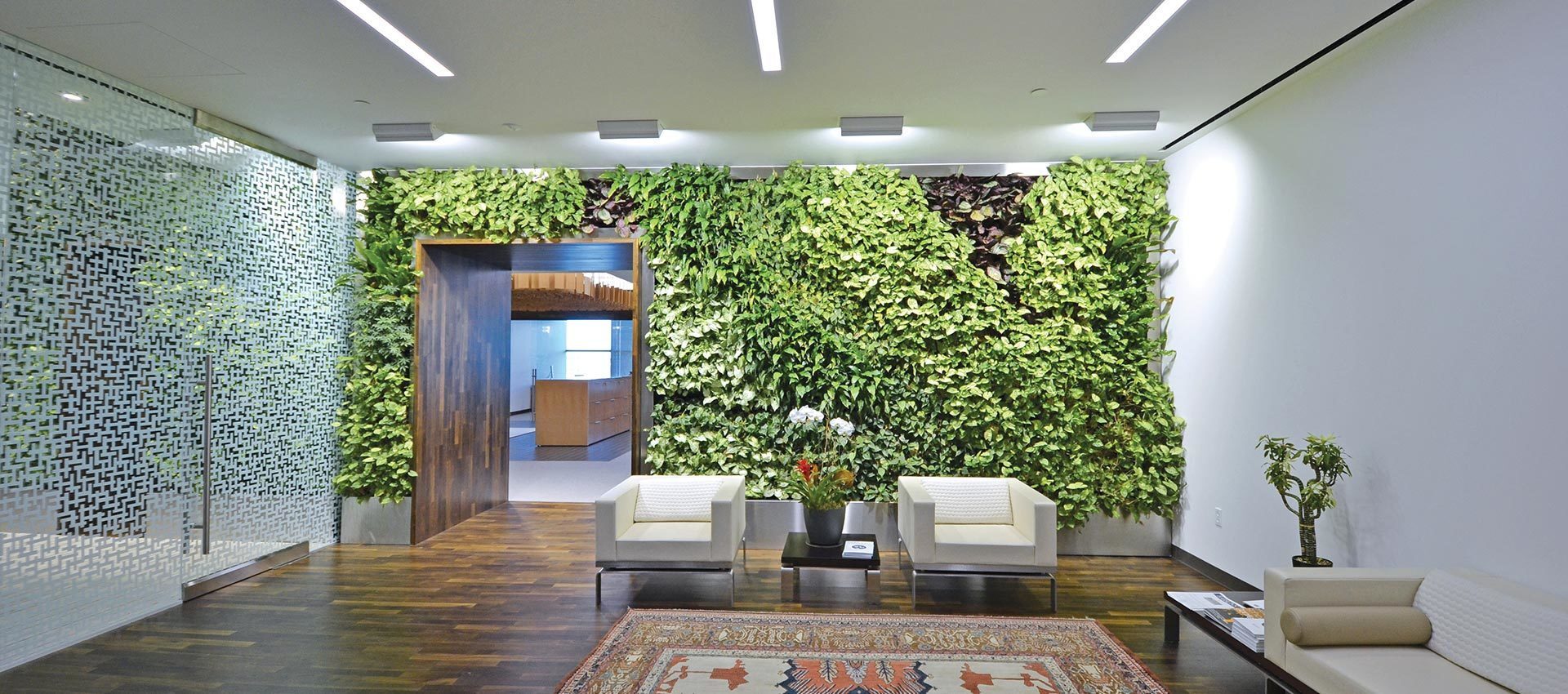 First Virtual Group | GSky