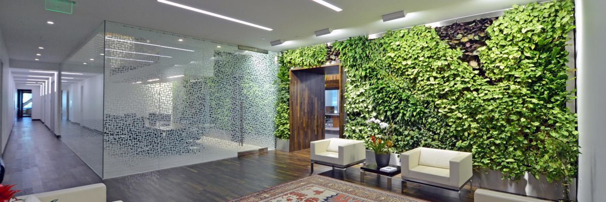 First Virtual Group | GSky