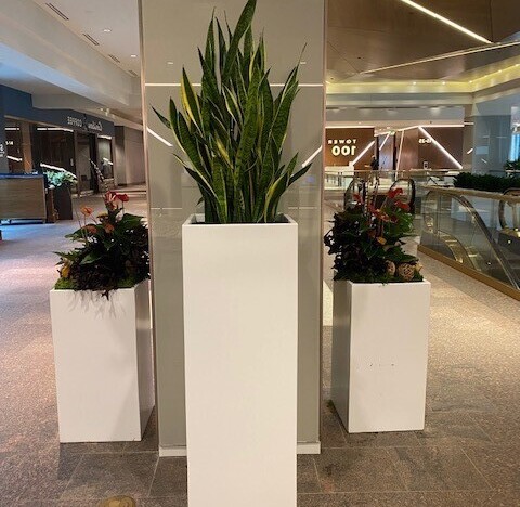 Interiorscape | McCaren Designs