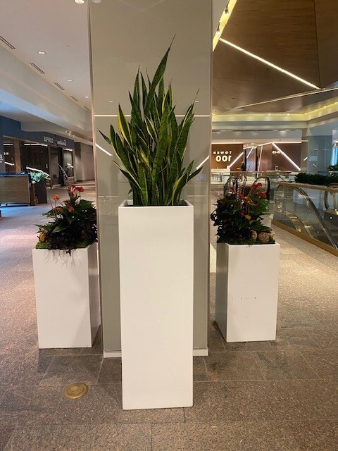 FST BA and Sans | McCaren Designs