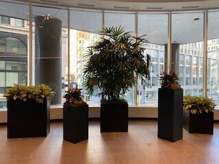 Interiorscape | McCaren Designs