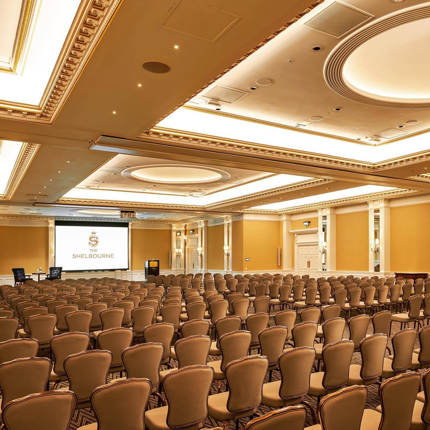 Gasser Chair The Shelbourne Dublin Elegant Conference Hall Seating ...