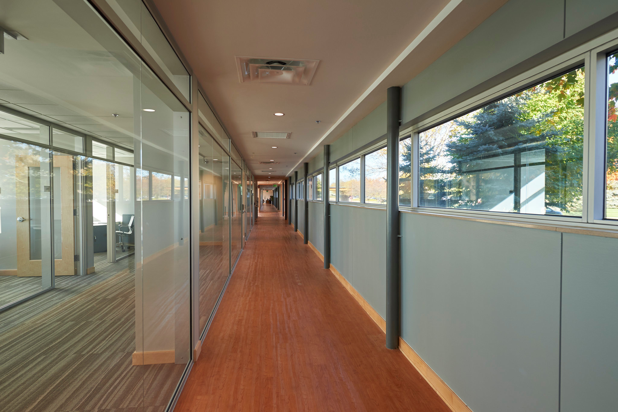 Glass Wall Hallways | Koch Hazard Architects