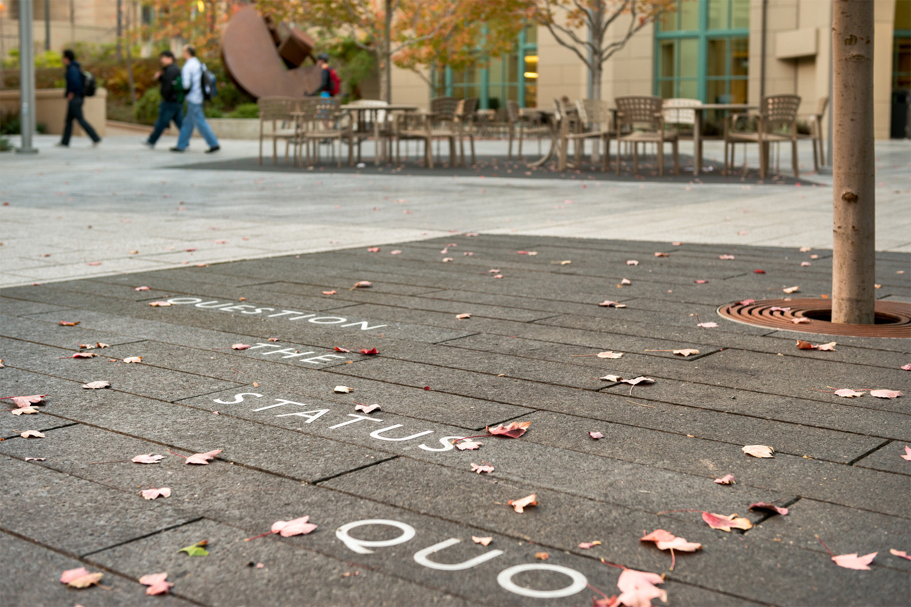 Haas University courtyard Landscape design | GLS Landscape Architecture