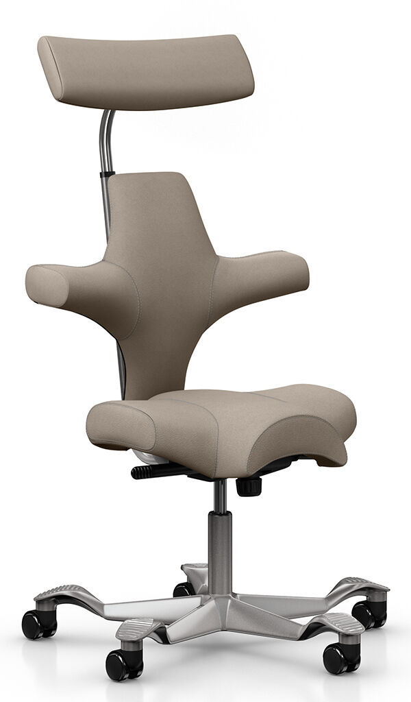 HÅG Capisco withheadrest | 9to5 Seating