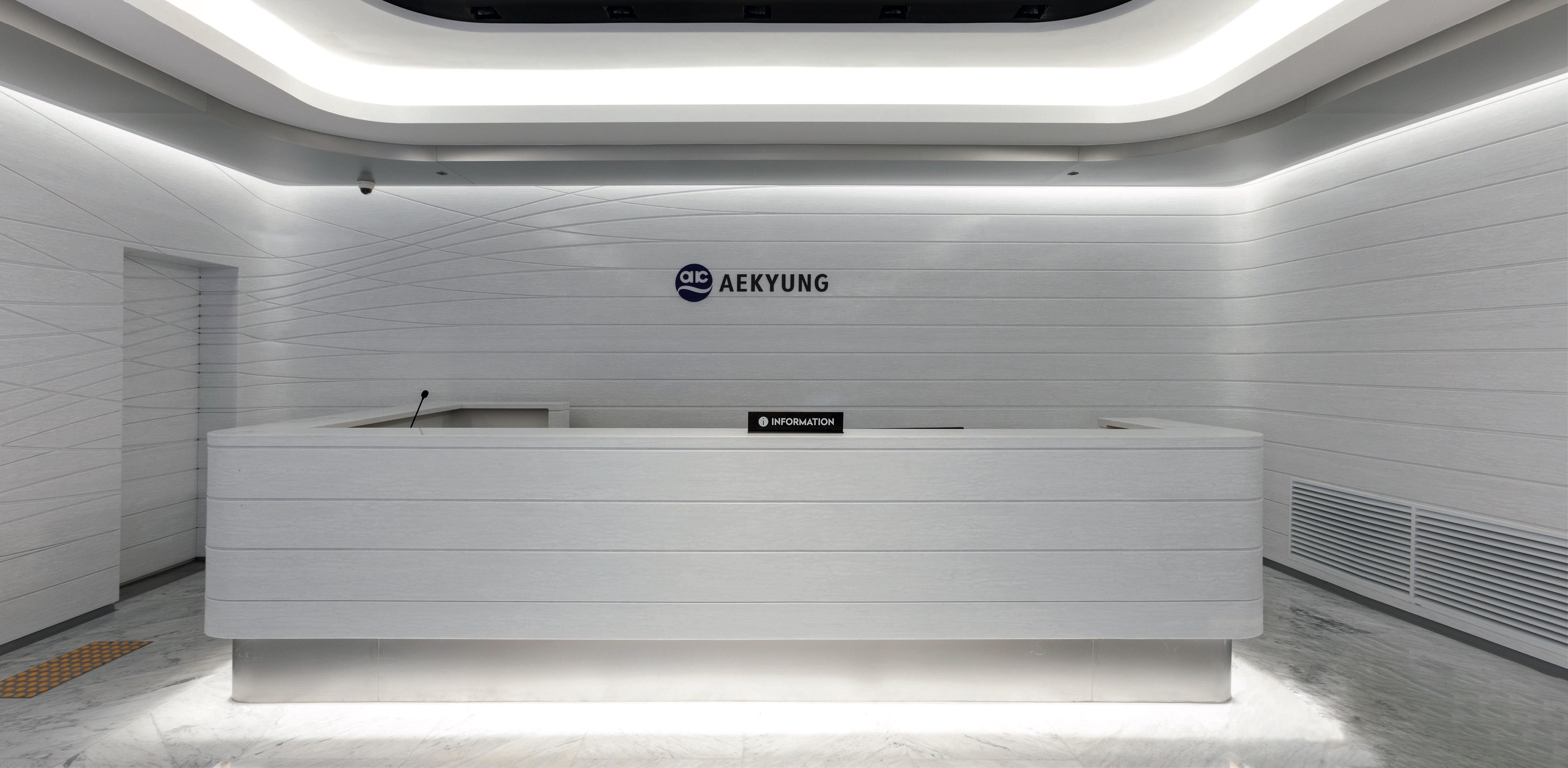 Hanex Solid Surfaces Reception Desk Design Hanex Nublado | Hyundai L&C USA