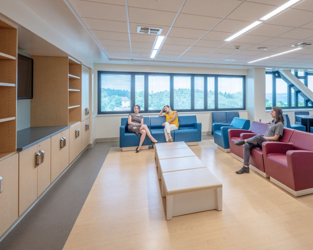 Heterogeneous Sheet Vinyl, Lonseal | Resilient Floor Covering Institute