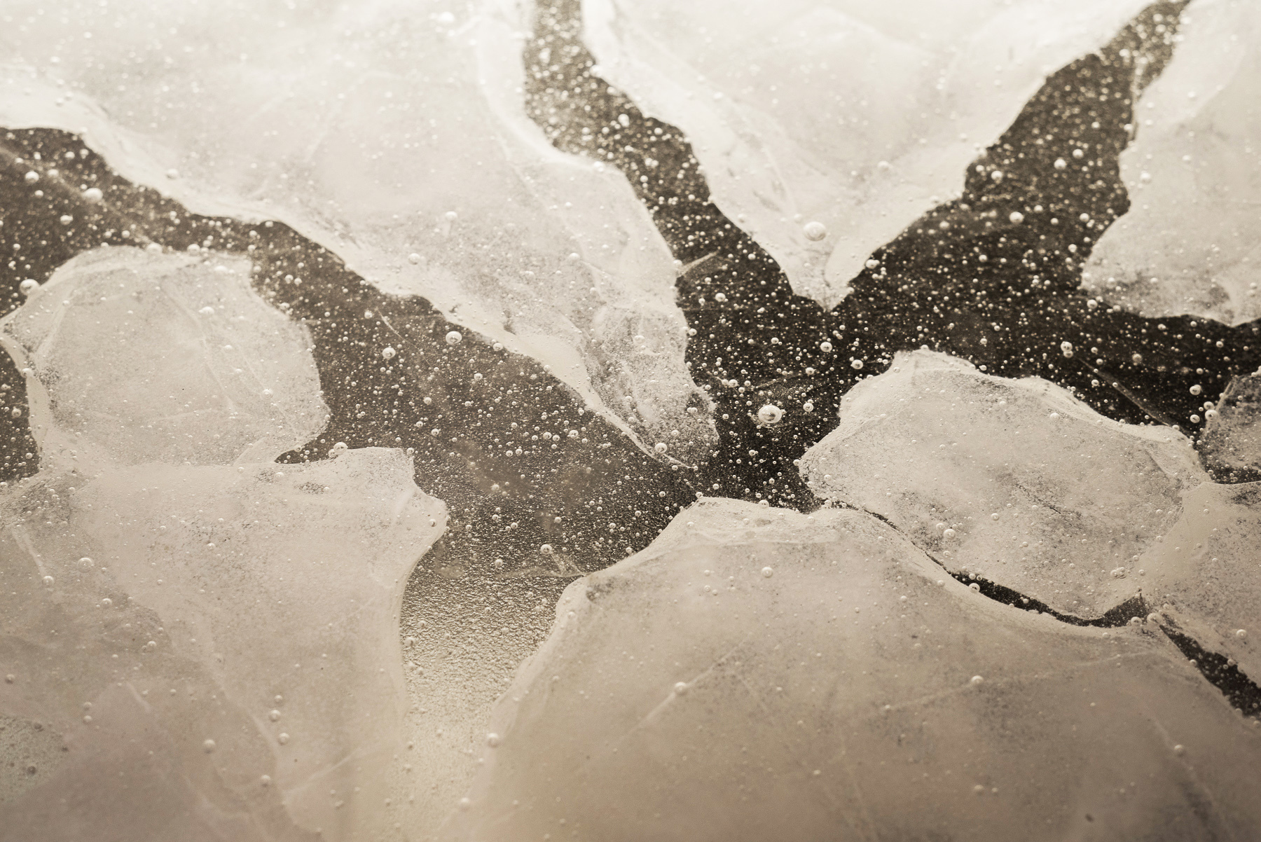 Iceberg Architectural Glass Partition | Nathan Allan Glass Studios Inc.