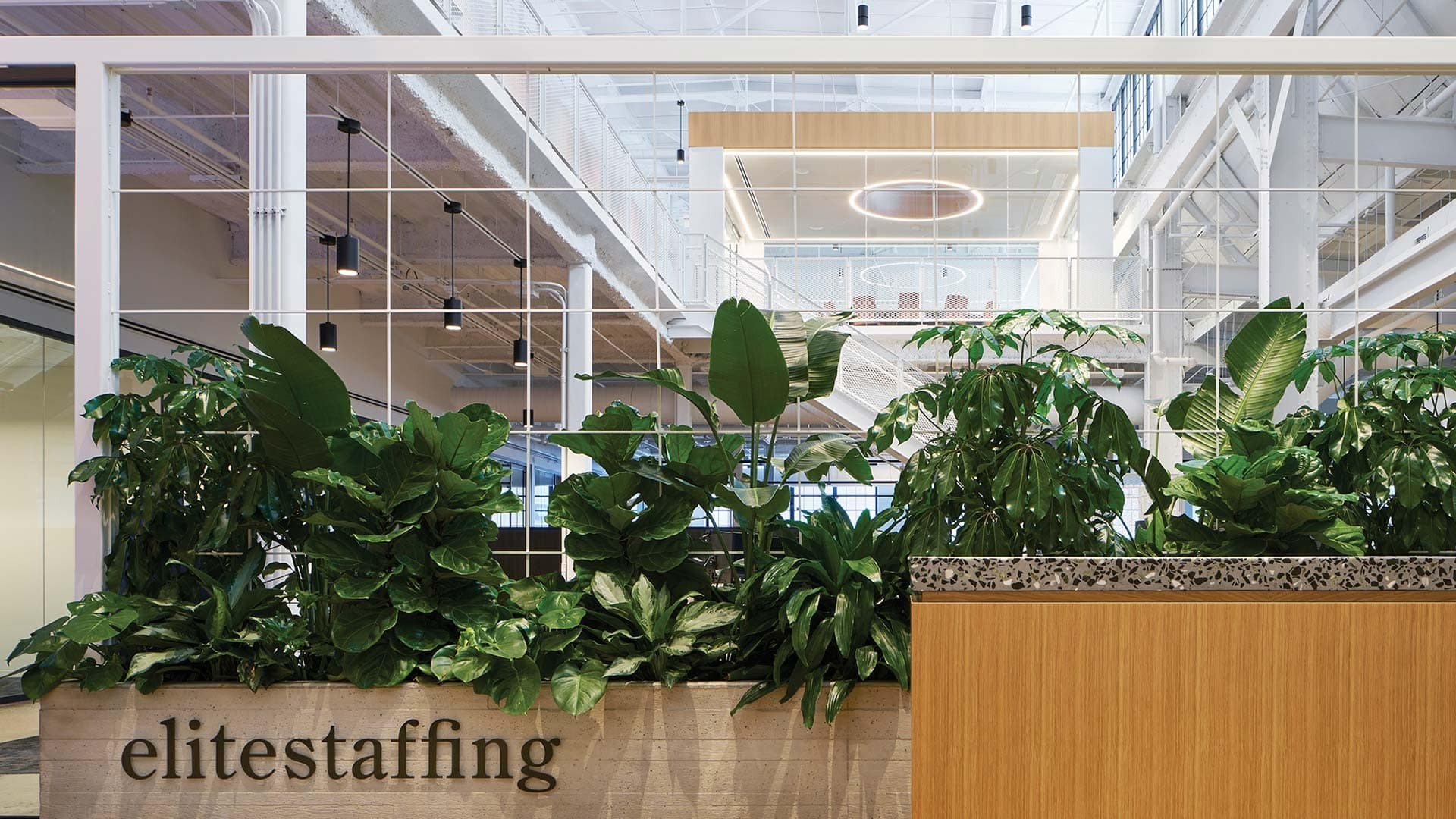Indoor Plants | Business Signage | Office Lighting | Acuity Brands | Acuity