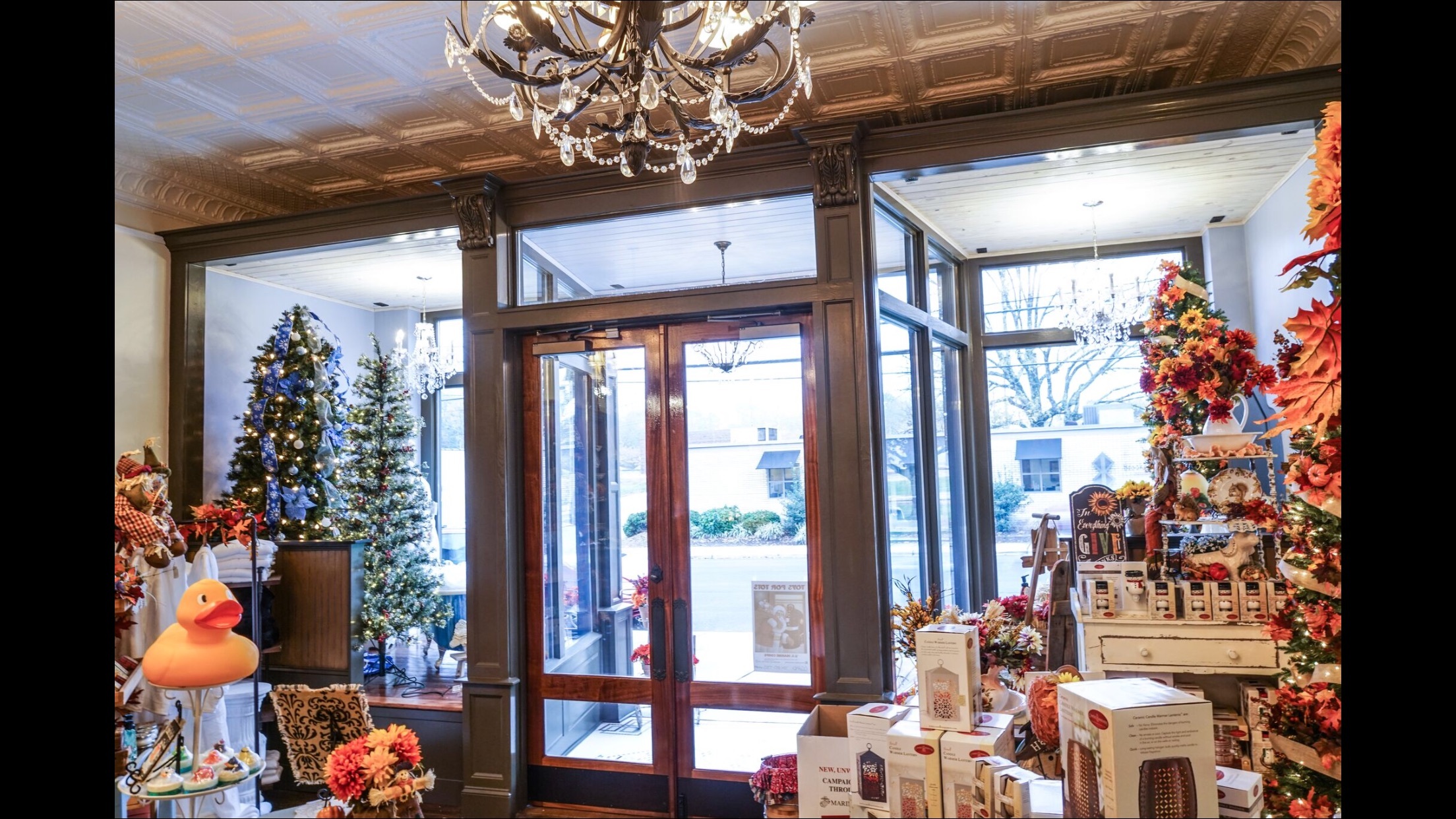 Interior Storefront Windows | Morgan Architecture + Consulting