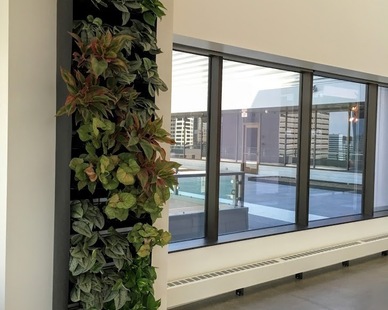 Greenwalls | McCaren Designs