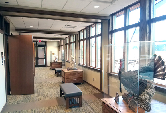 Lycos Finish - Project Photos + Products - Omaha, NE | Mortarr
