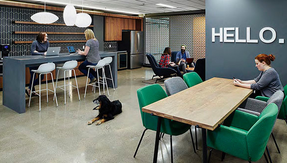 e tu Interiors - Project Photos + Products - St Paul, MN | Mortarr