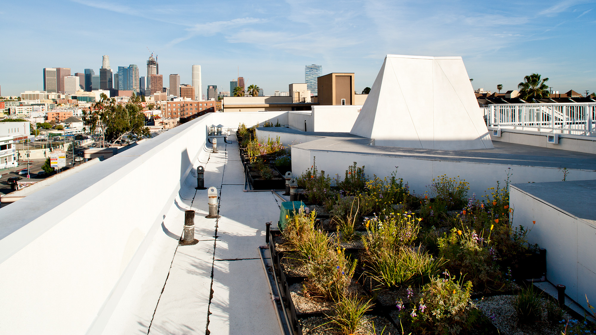 Landstudio360 the six housing design rooftop design | LandStudio360