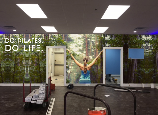 Gym Motivational Wall Mural | LimitLess Walls