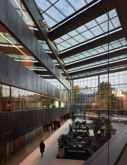 Laser Cut Metal Atrium Walls | Moz Designs