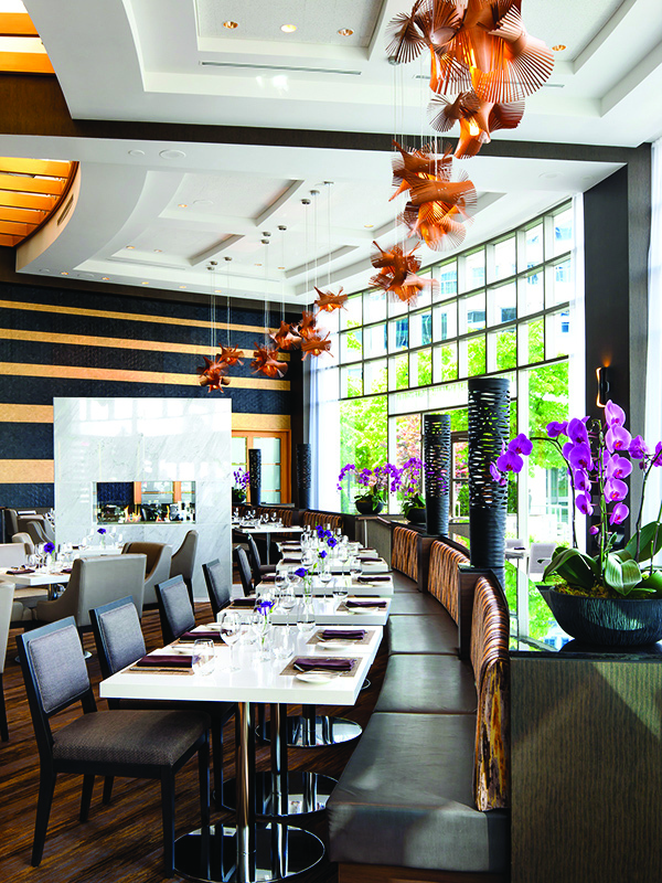 Decorative Lighting | LIGHT