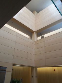 Lobby ceiling | Newick Architects