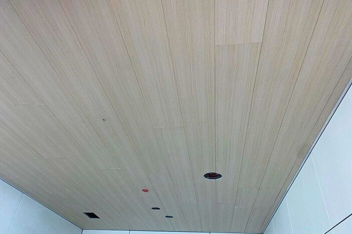 Sound dampening ceilings | Better Than Wood