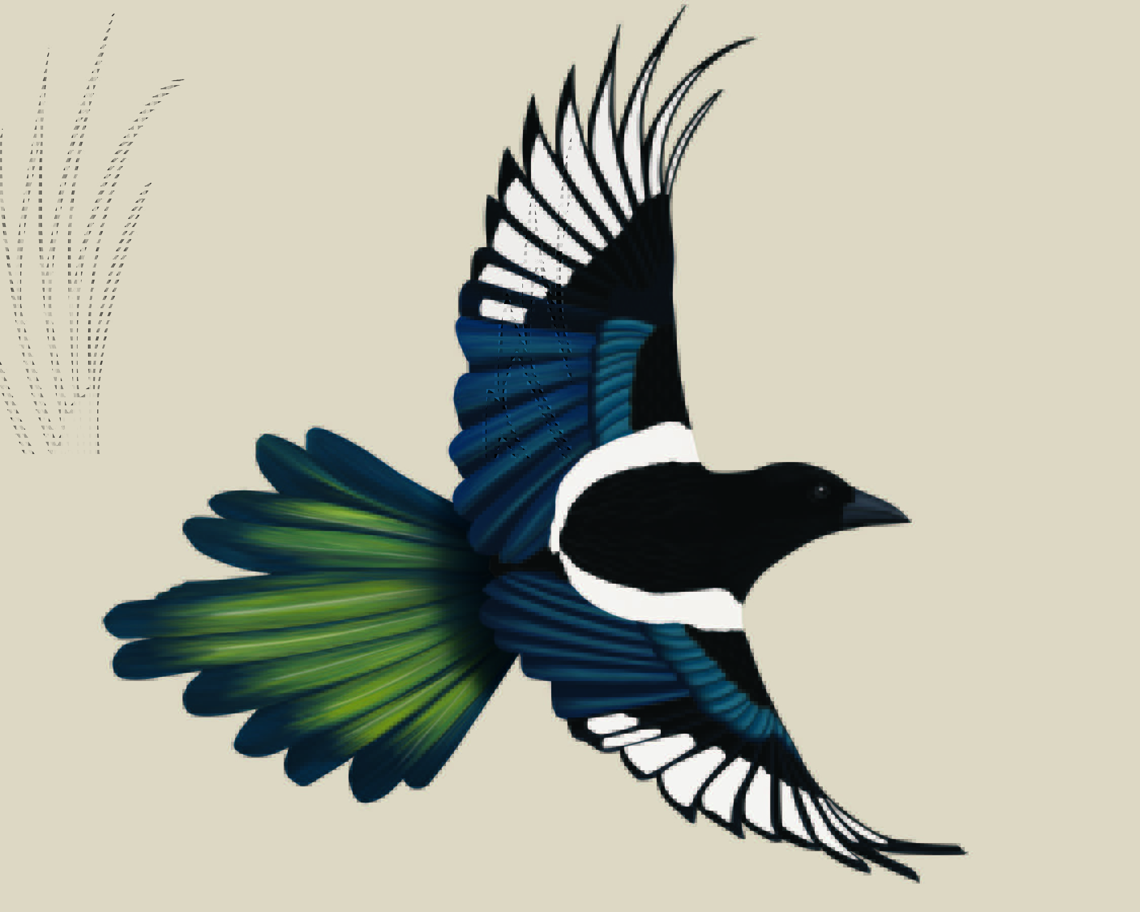 MaggieMagpie | Beyond the Surface