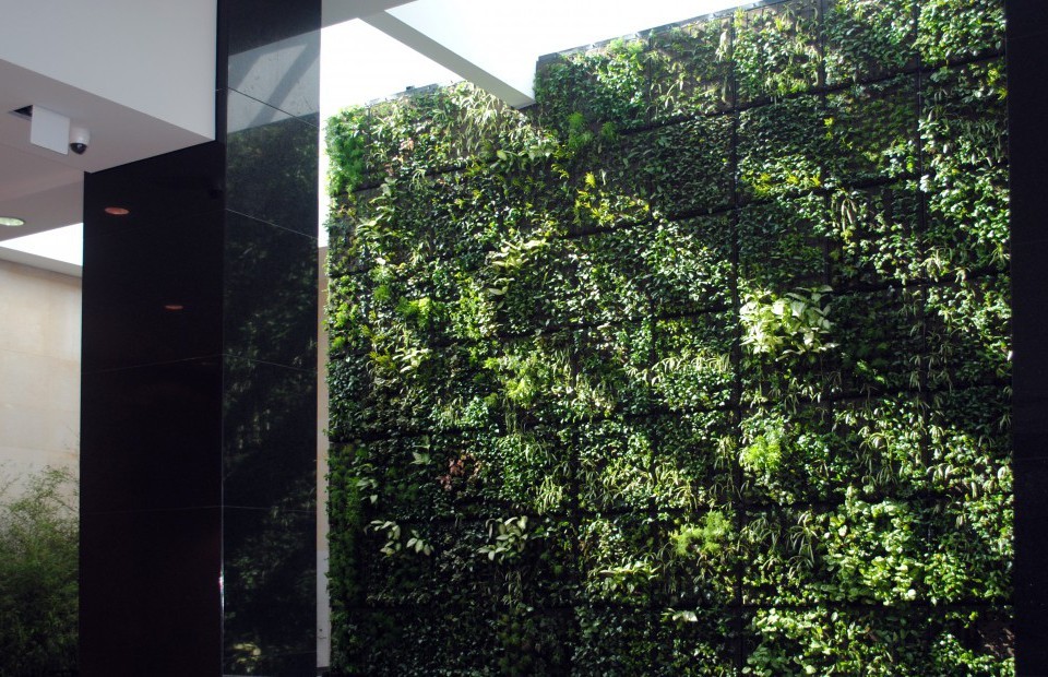 mccaren design Greenwalls | McCaren Designs