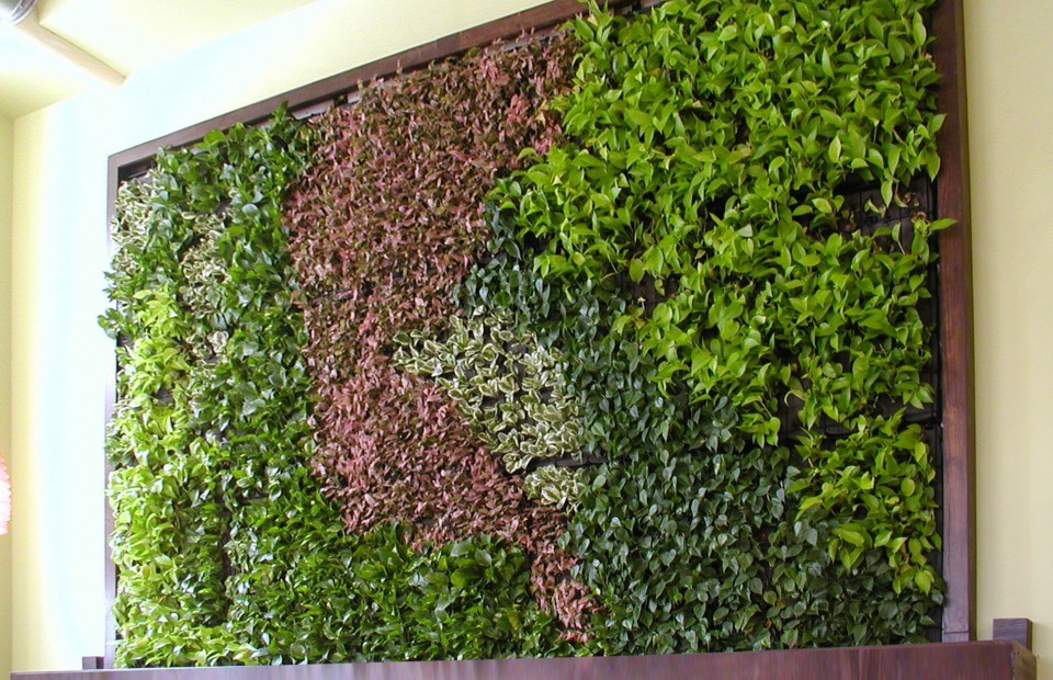 mccaren design Greenwalls | McCaren Designs